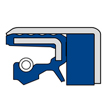 Radial Shaft Seals - Radial Lip Seals | ESP International
