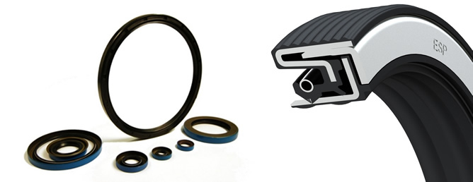 Radial Shaft Seals - Radial Lip Seals | ESP International